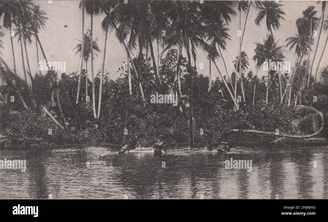 Papuans fishing in a shallow lagoon near Eissano. Papua New Guinea. New ...