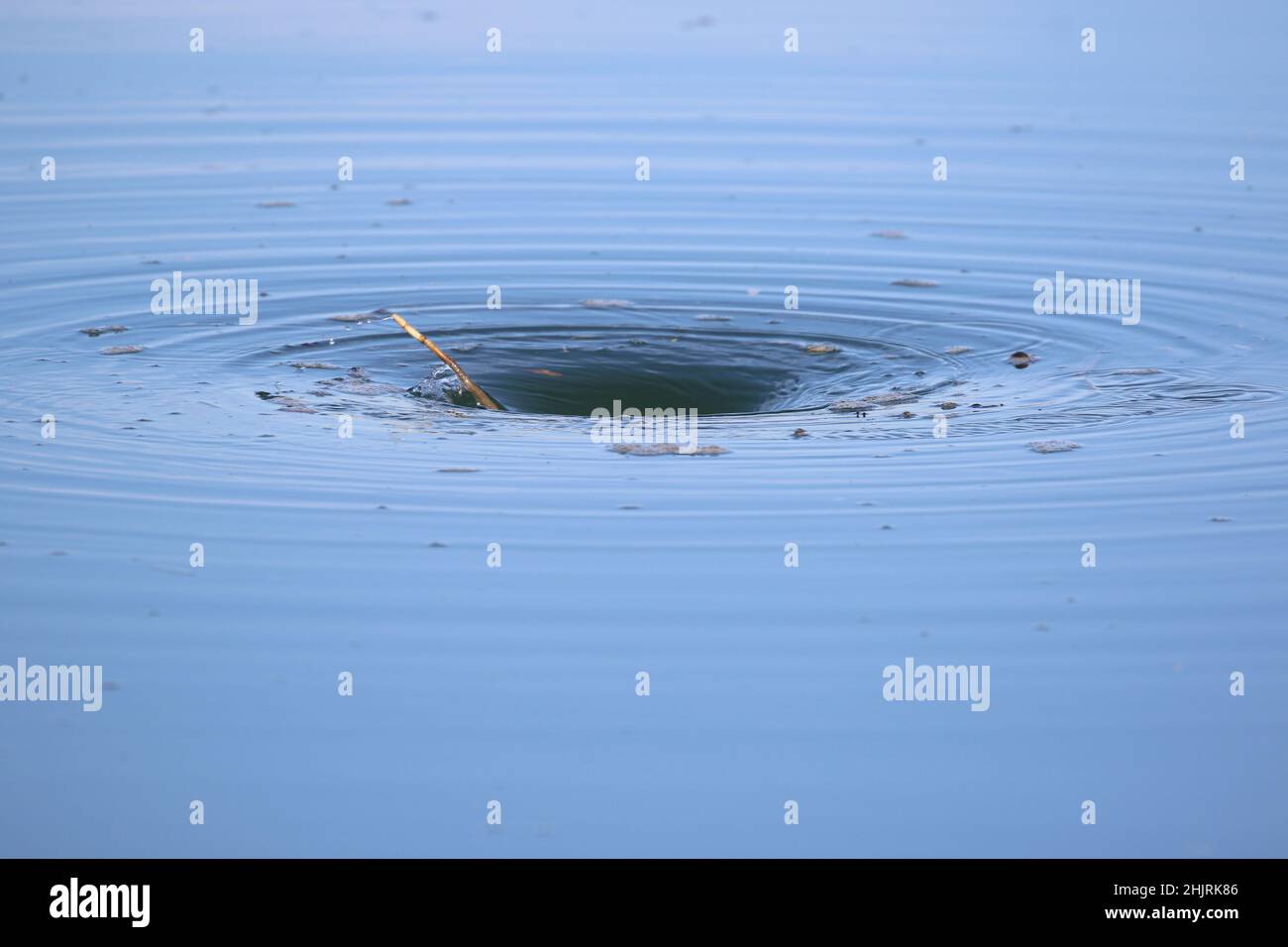 Water swirls hi-res stock photography and images - Alamy