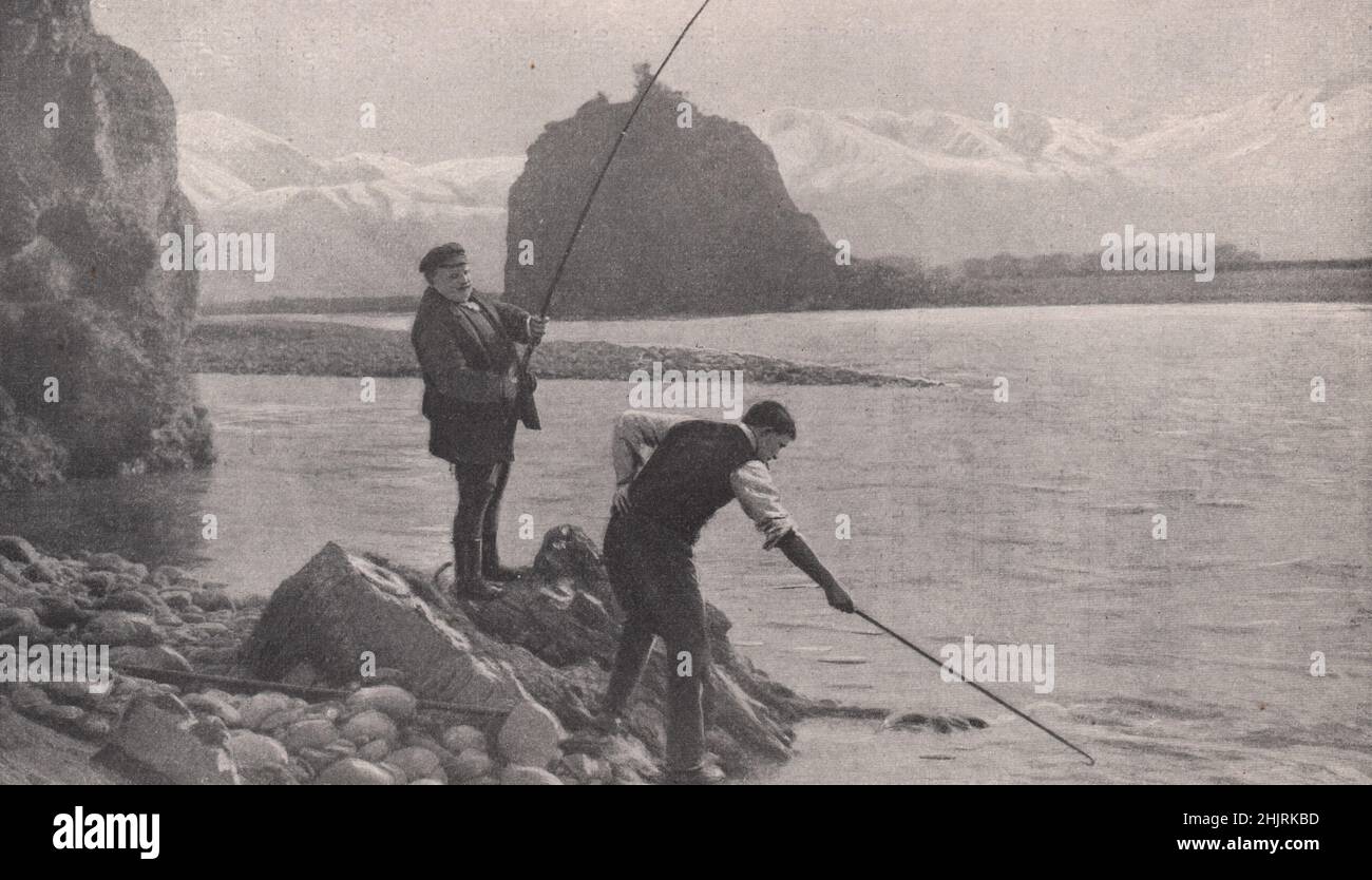 Gaffing a trout on the Waiau River, one of the East Coast streams of ...