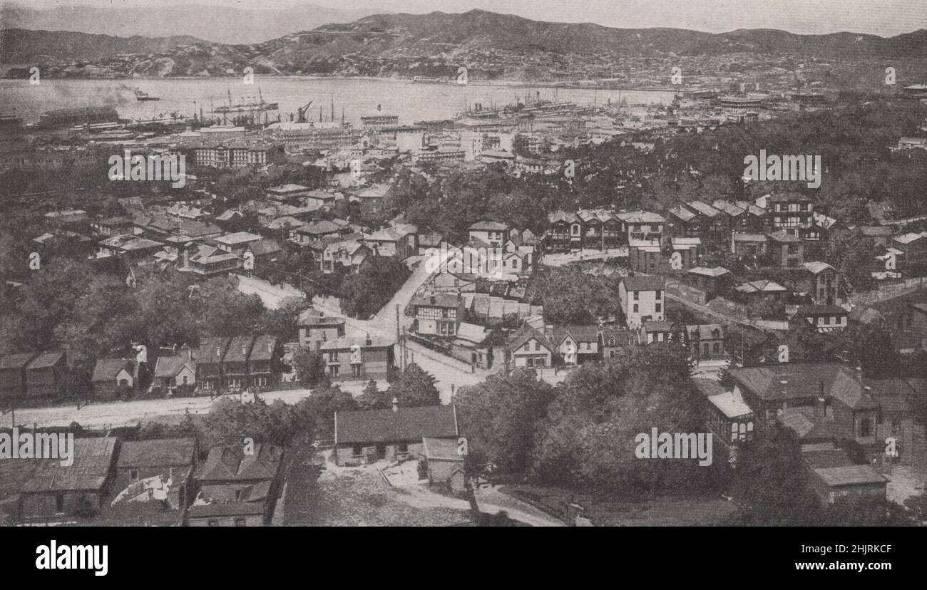 Wellington, the capital of New Zealand, by the shore of Port Nicholson ...