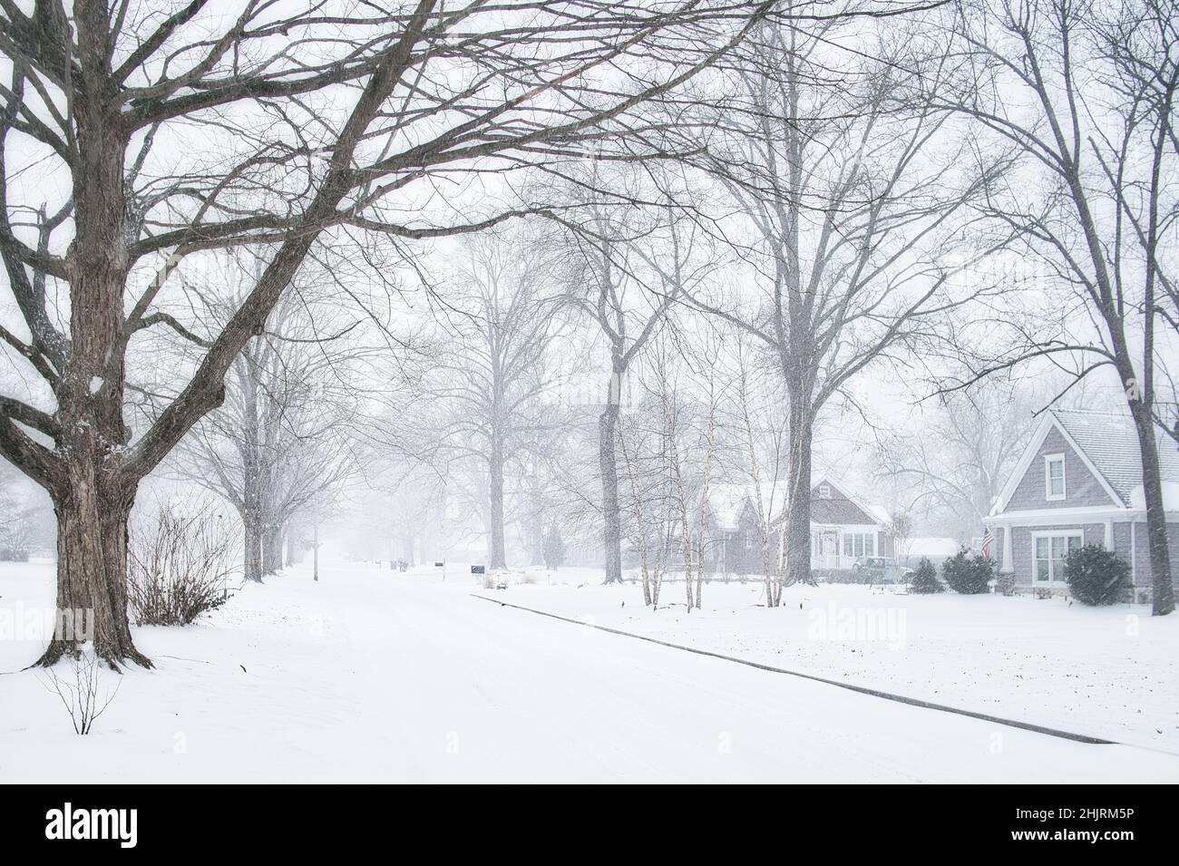 In the midst of a winter snow looking down the street at the snow ...