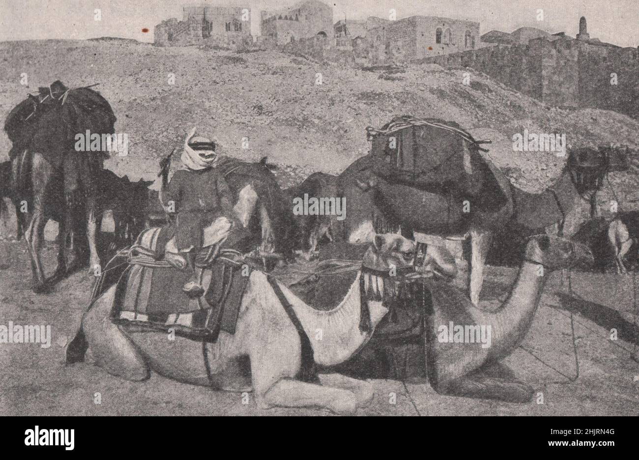 Caravan resting after toilsome desert travel. Israel. Palestine (1923 ...