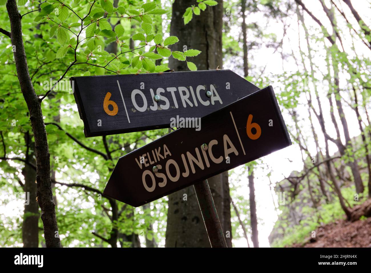Bled, Slovenia. Trail signs around Lake Bled Stock Photo - Alamy