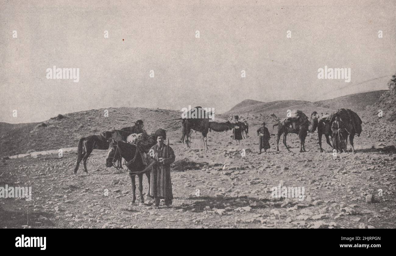 Family of nomad Turks with their camels and horses on the March near ...