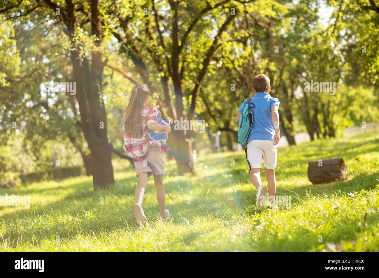 Children walking in park with backs to camera Stock Photo - Alamy