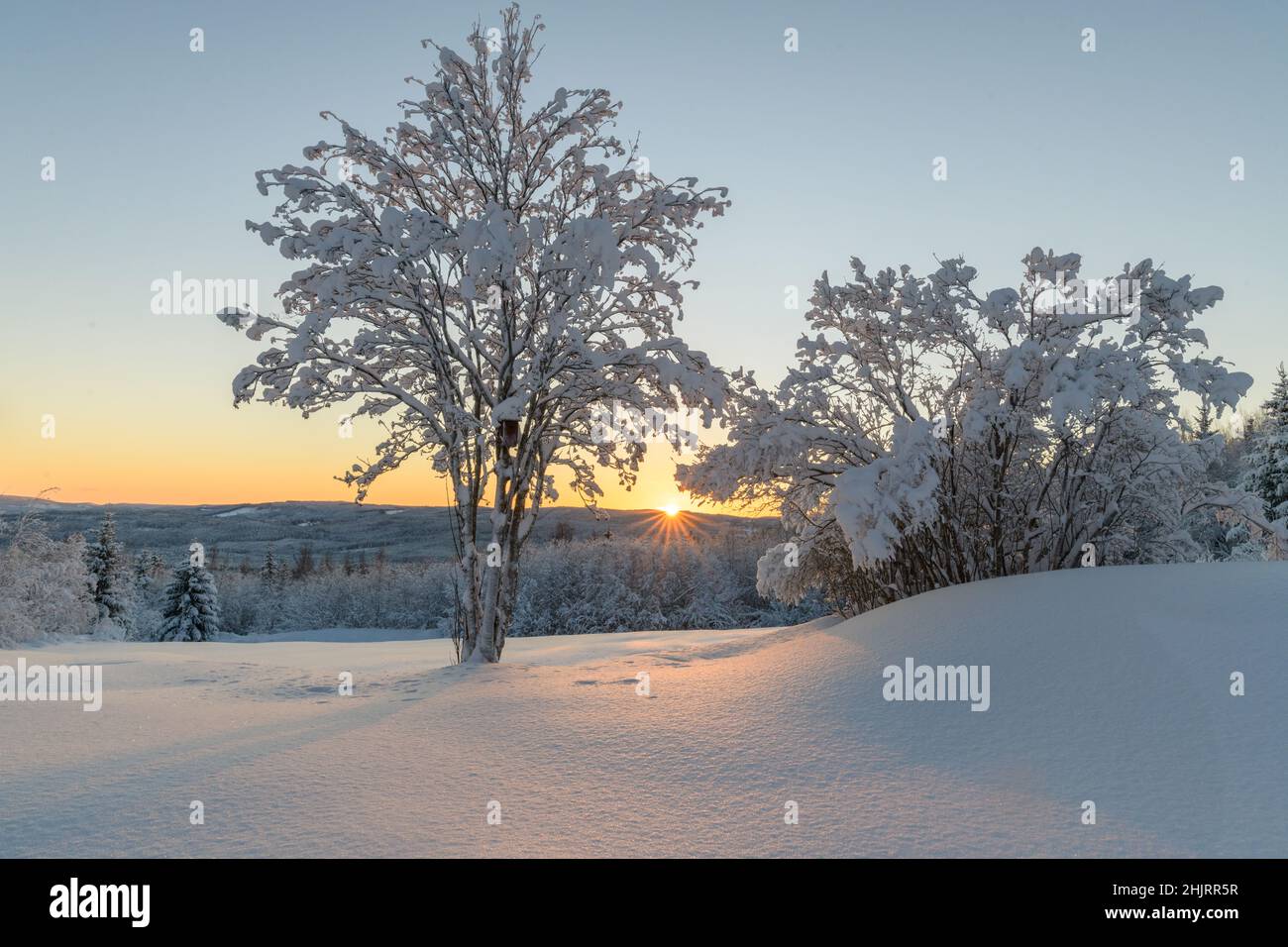 Swedish landscape during sunset hi-res stock photography and images - Alamy