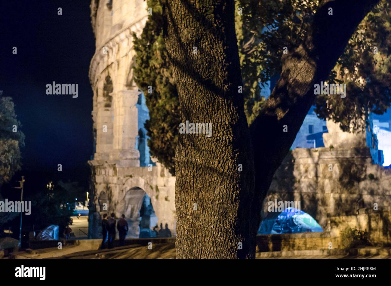 A Trunk of a Tree with Pula Arena, the Ancient Roman Amphitheatre, in ...