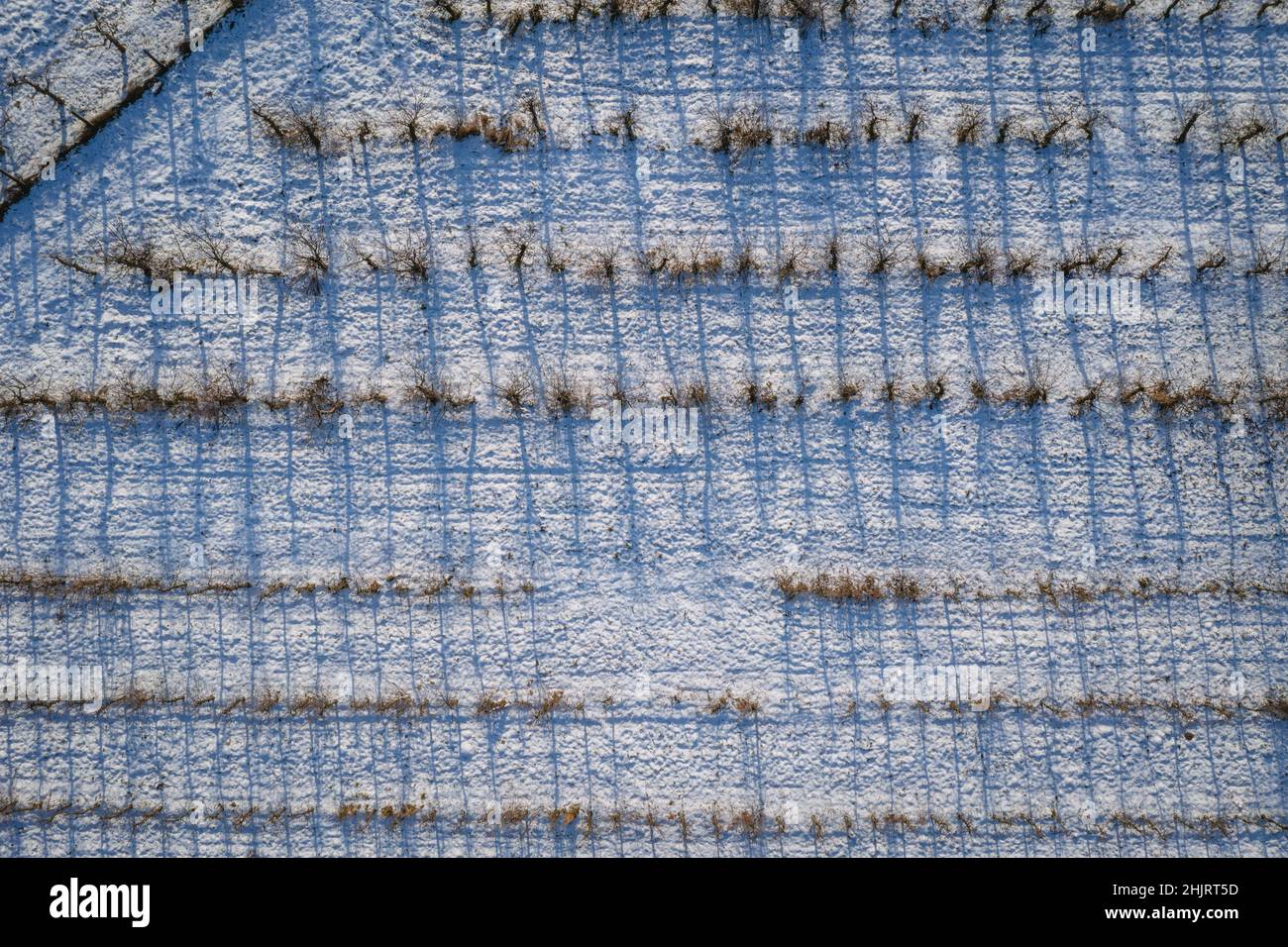 Aerial view apple orchard in hi-res stock photography and images - Alamy