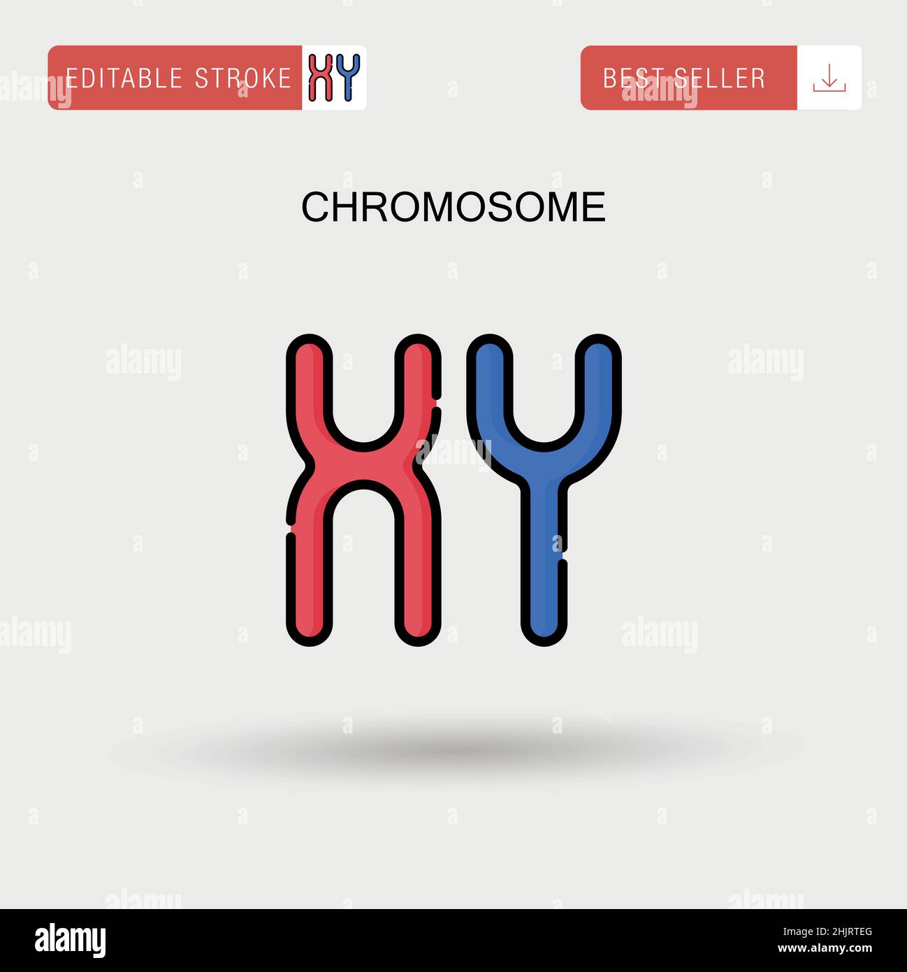 Homologous chromosomes hi-res stock photography and images - Alamy