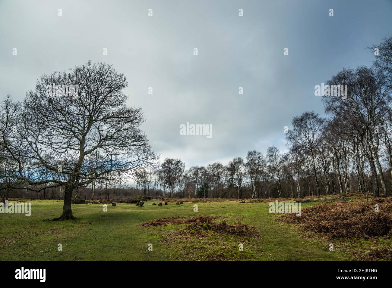 Nine ladies circle hi-res stock photography and images - Alamy