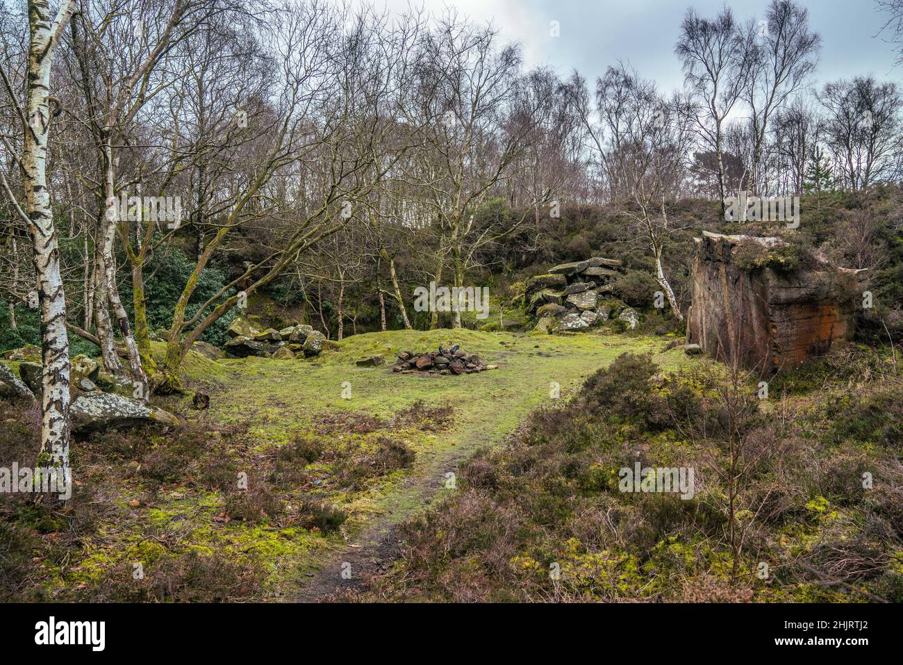 Fire break in forest hi-res stock photography and images - Alamy