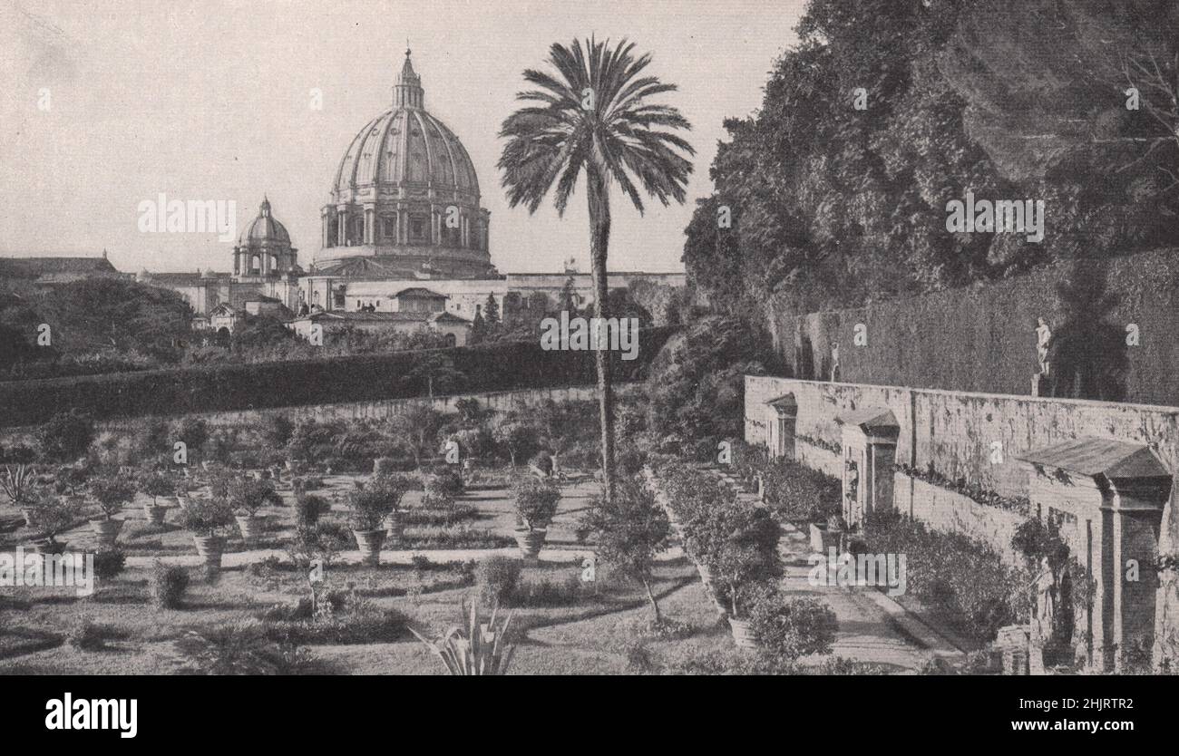 Majestic Dome of St. Peter's seen from the sun-lit, flower-scented ...