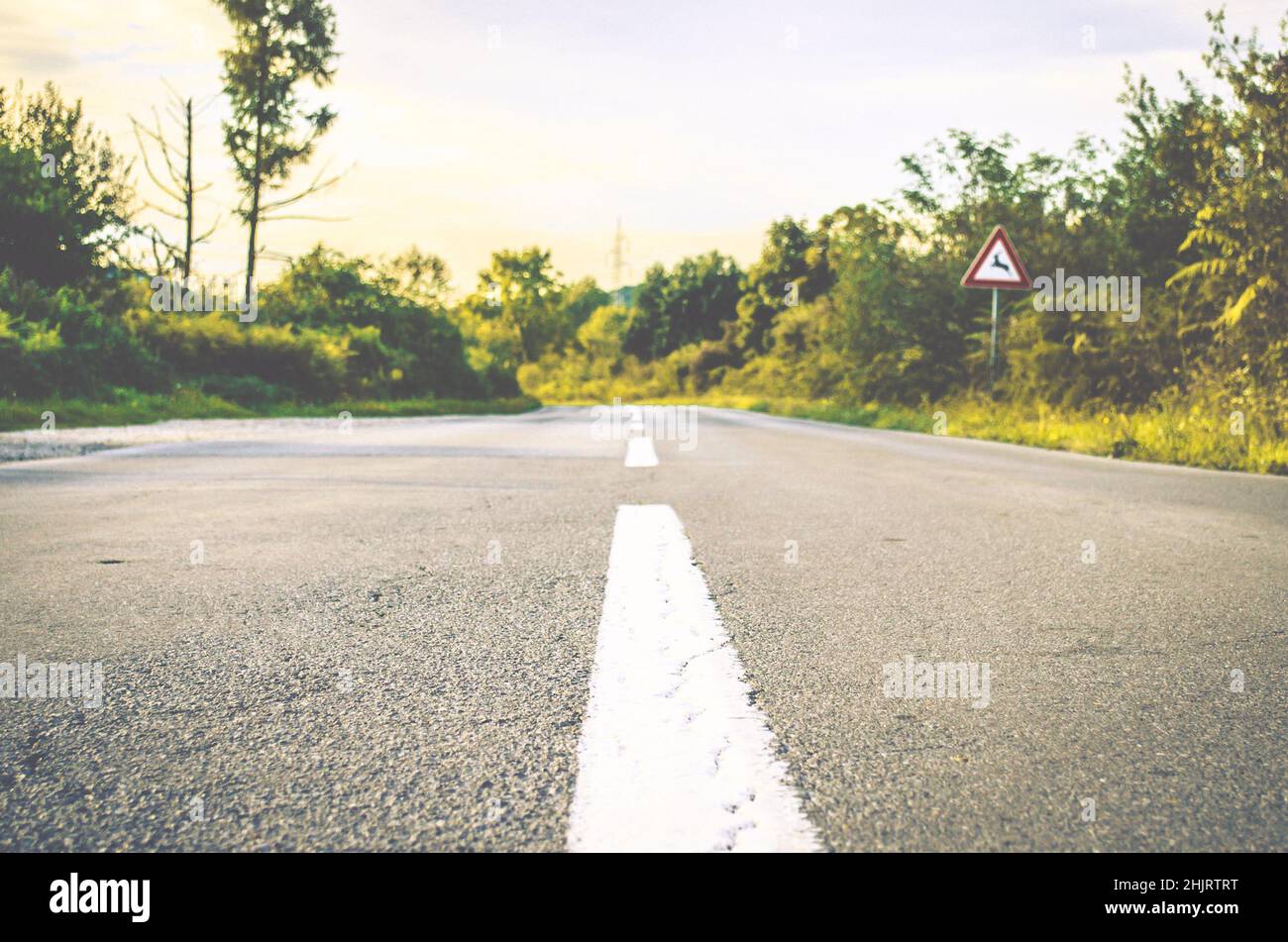 Empty Straight Road in the Middle of the Forest in Croatian Countryside ...