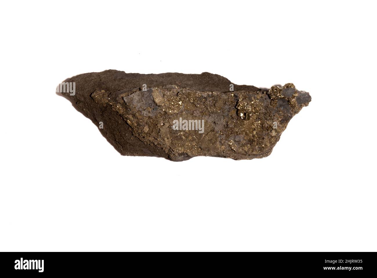 Limestone with Pyrite Shell and Pyrite Crystals Stock Photo - Alamy