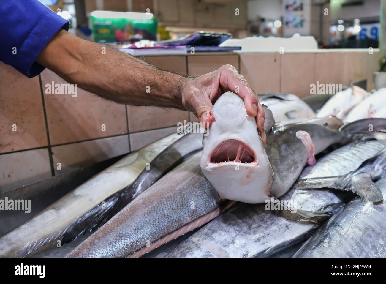 Selective focus at hands of middle eastern fishmonger showing fresh ...