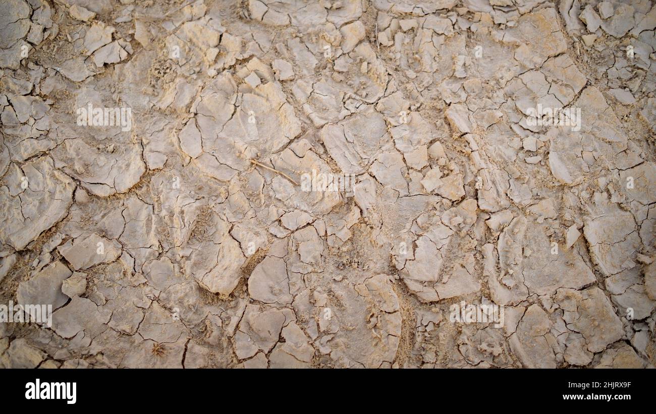 Photo of a dry earth background texture Stock Photo - Alamy