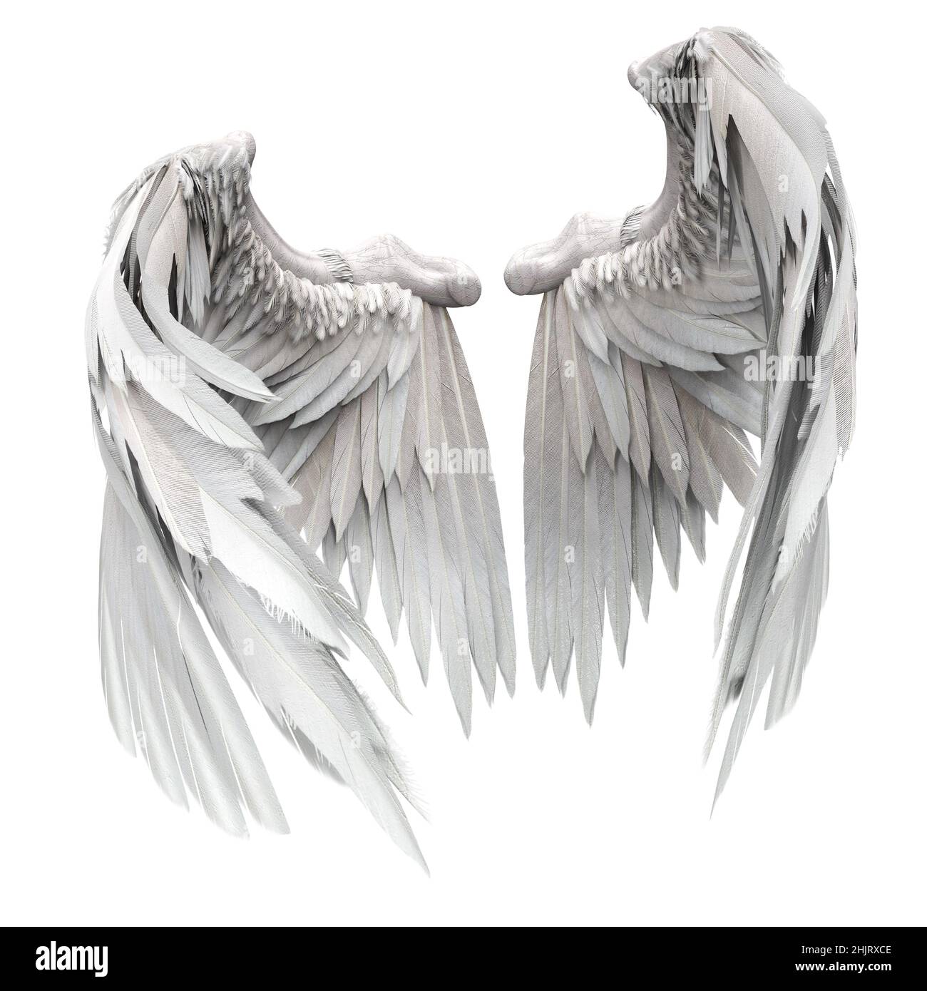 Pair of isolated angel wings with 3D feathers on white background, 3D Illustration, 3D Rendering ...