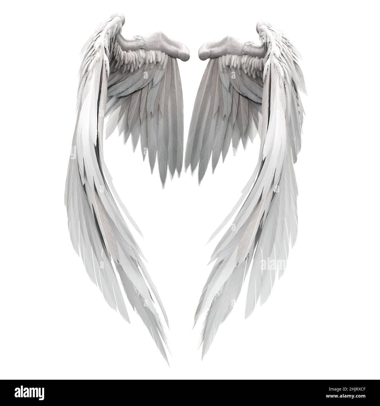 Pair of isolated angel wings with 3D feathers on white background, 3D Illustration, 3D Rendering ...