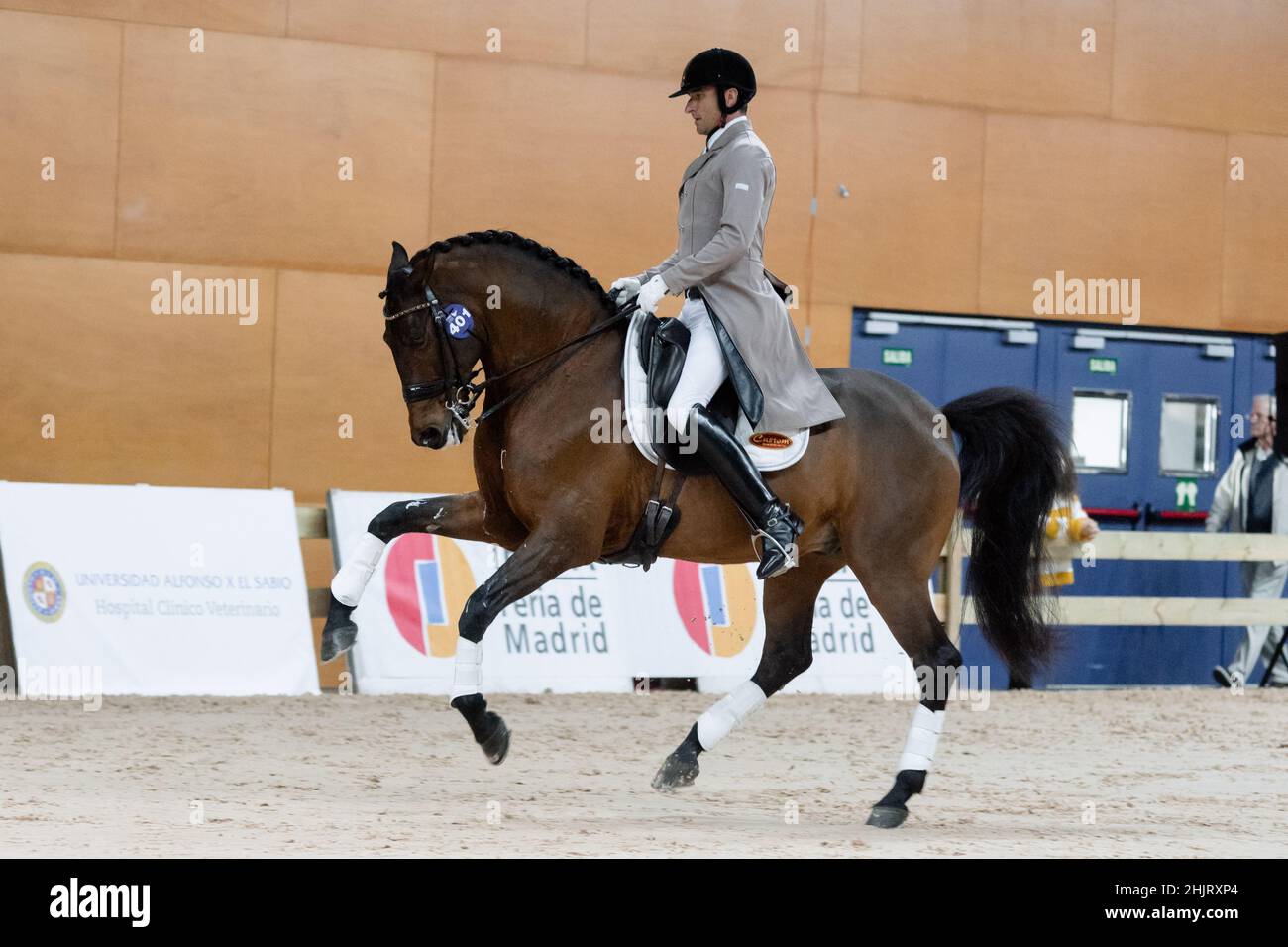 Daniel Martin Dockx (ESP) with Manchego ARB (PRE) during Longines FEI ...