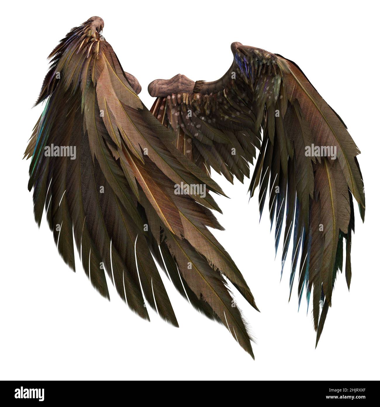 Pair of isolated angel wings with 3D feathers on white background, 3D Illustration, 3D Rendering ...