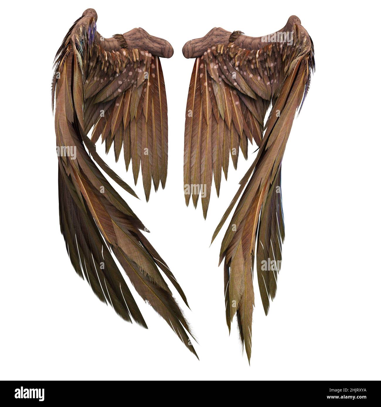 Pair of isolated angel wings with 3D feathers on white background, 3D Illustration, 3D Rendering ...