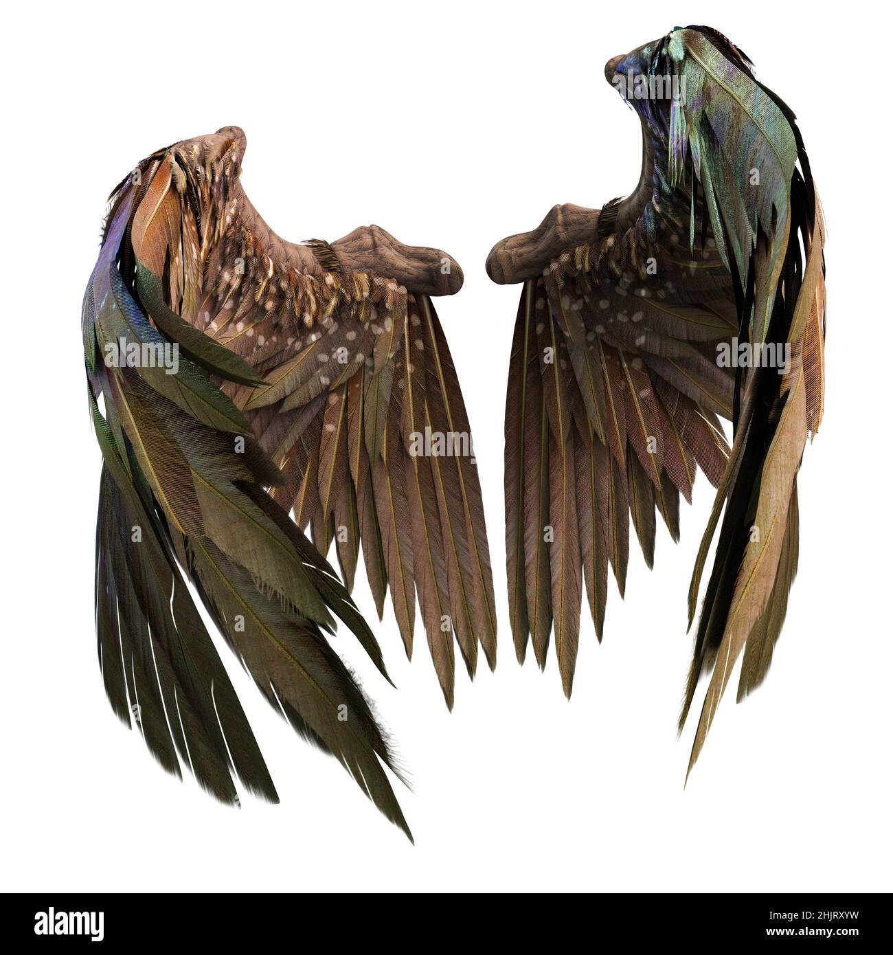 Pair of isolated angel wings with 3D feathers on white background, 3D Illustration, 3D Rendering ...