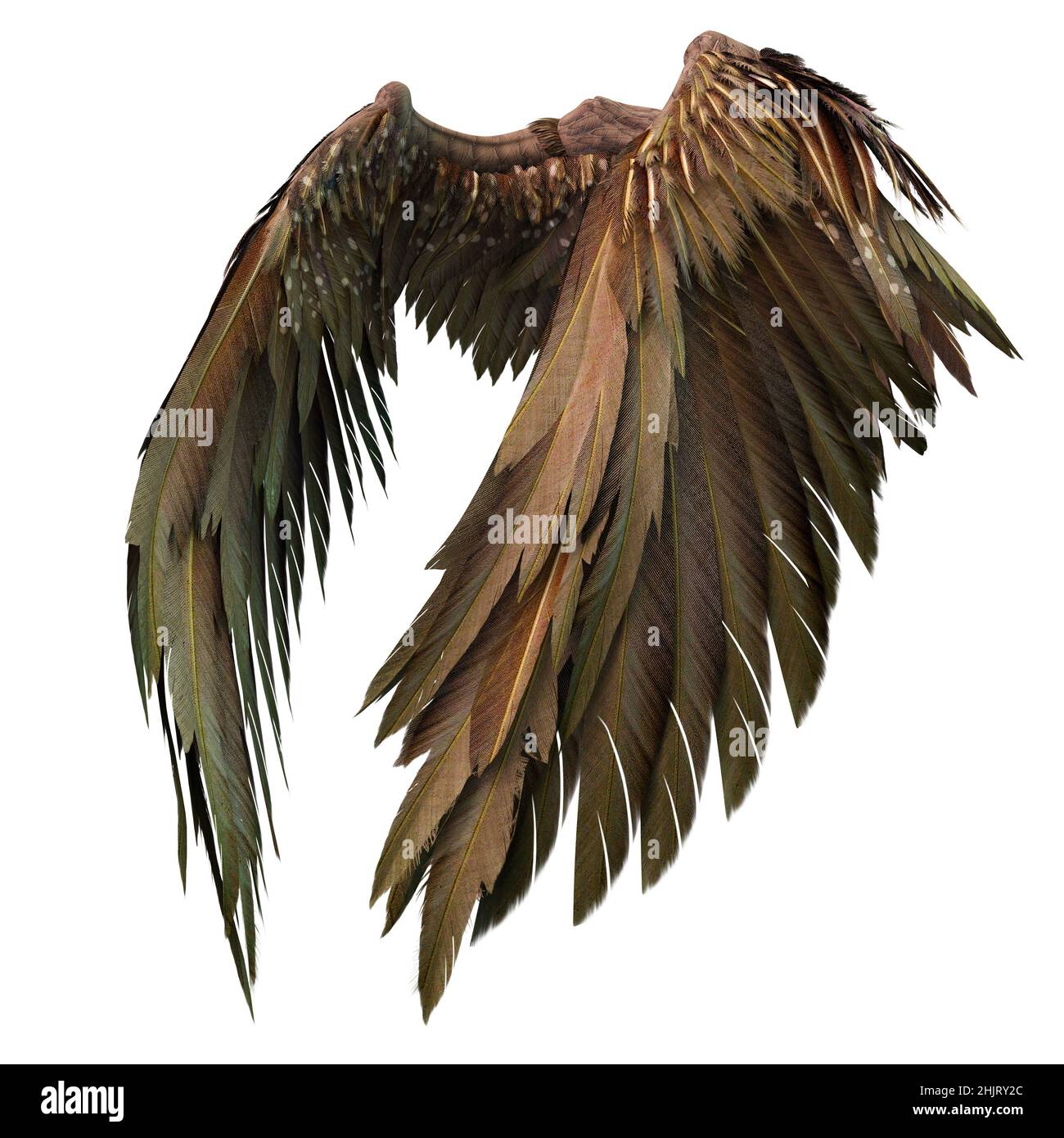 Pair of isolated angel wings with 3D feathers on white background, 3D Illustration, 3D Rendering ...