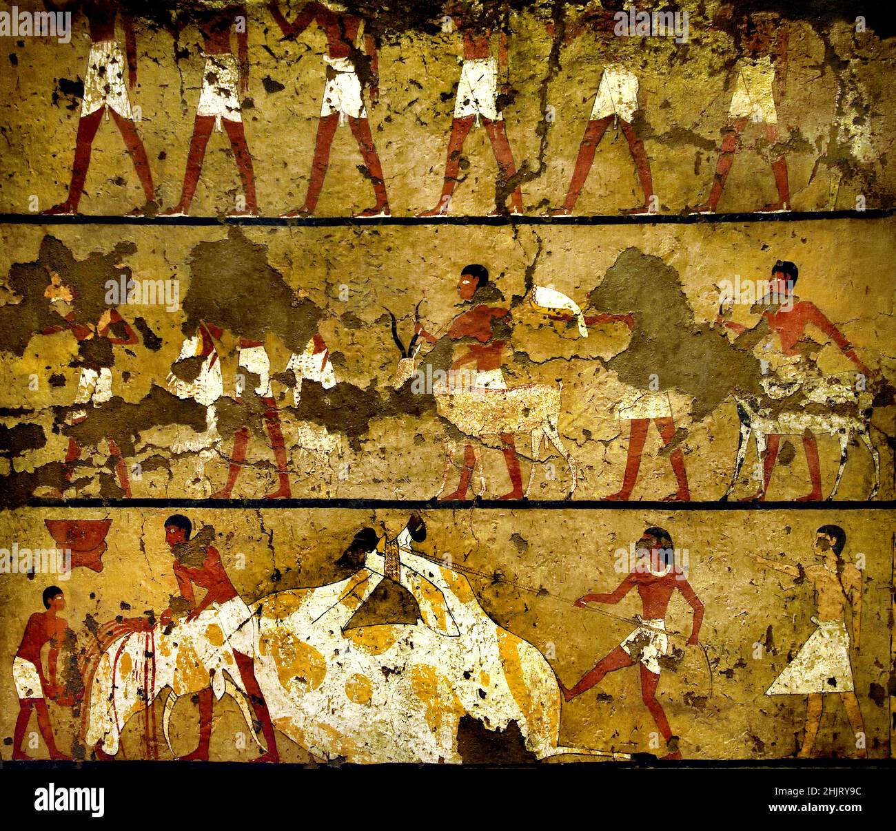 Tomb of Iti and Neferu, Ritual slaughter scene Scene, Thebes, Tempera ...