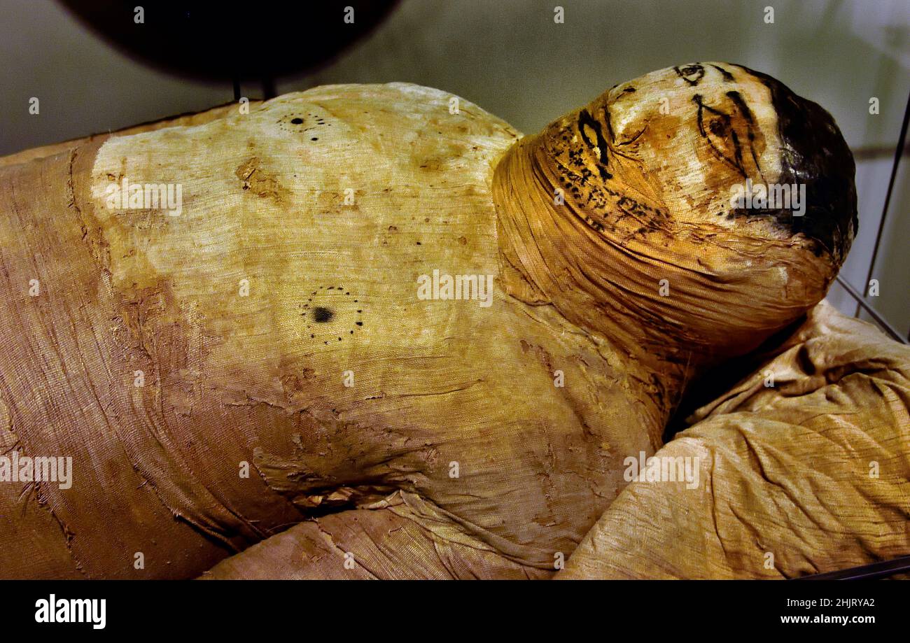 Museo egizio di torino hi-res stock photography and images - Alamy