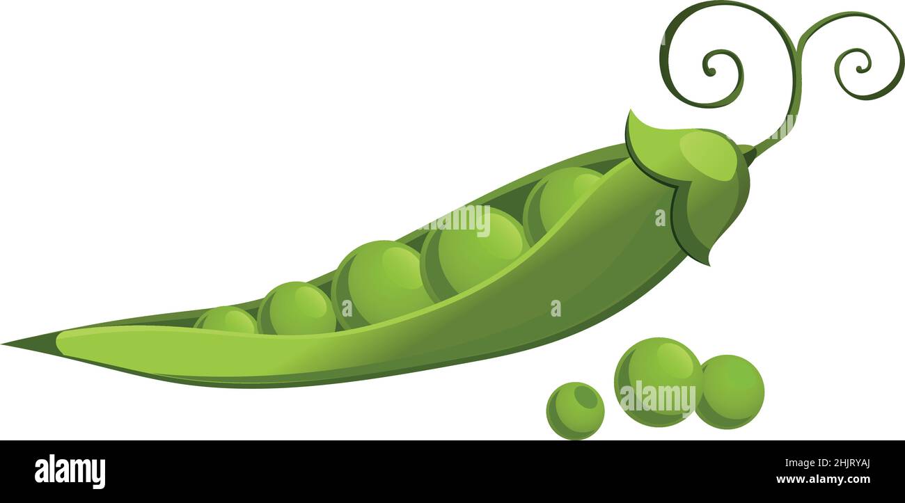 Realistic fresh ripe pea pod isolated on white background - Vector ...