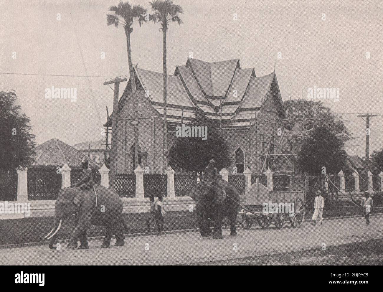 Trained elephants at work in a Siamese Town. Thailand (1923 Stock Photo ...