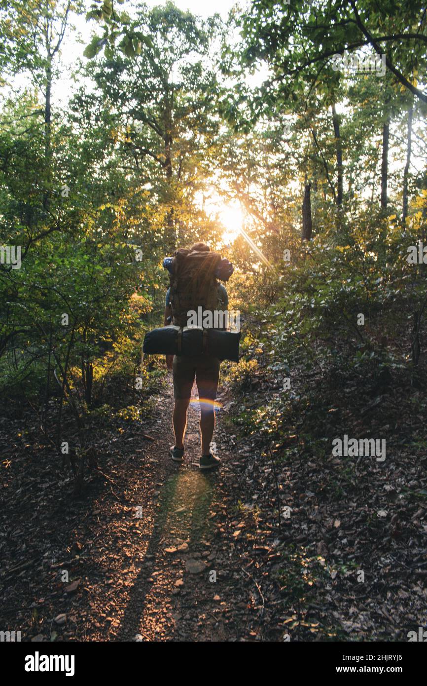 Georgia walking trail hi-res stock photography and images - Alamy