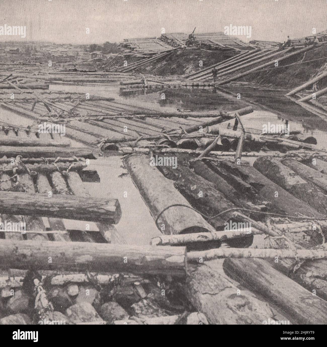 Log Rafts on the Angara River in the Vicinity of Irkutsk. Russia ...