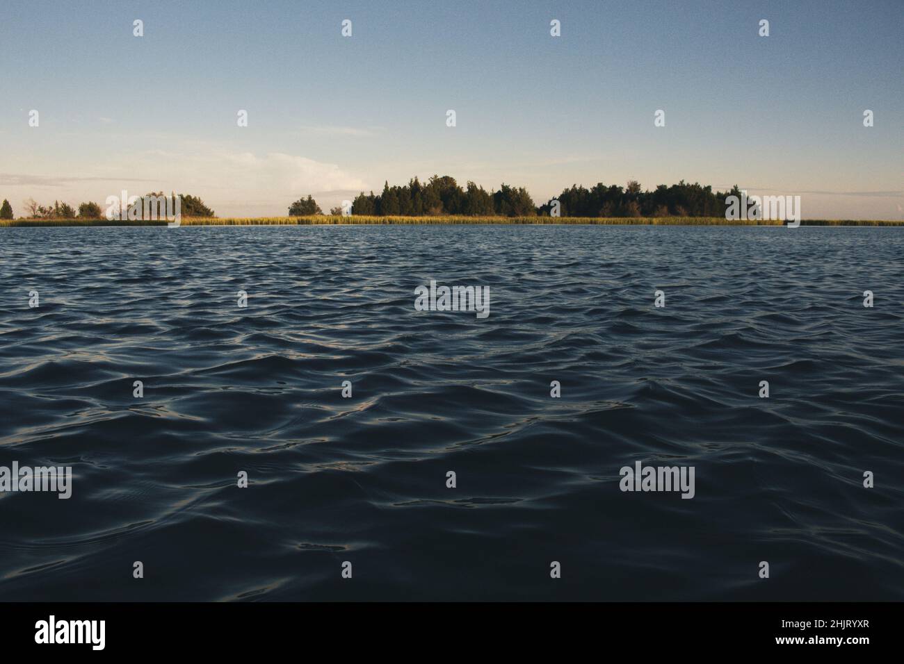 Lakeside bushes hi-res stock photography and images - Alamy
