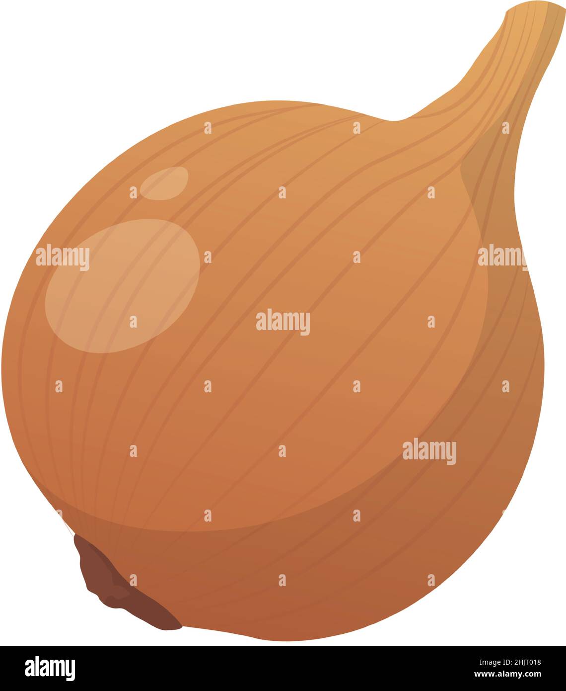 Realistic fresh onion isolated on white background - Vector ...