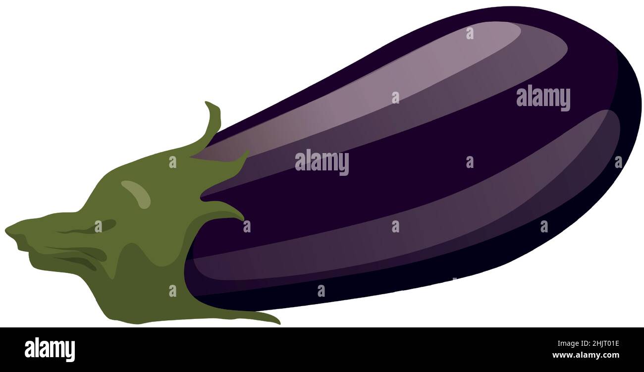 Realistic fresh eggplant isolated on white background - Vector ...