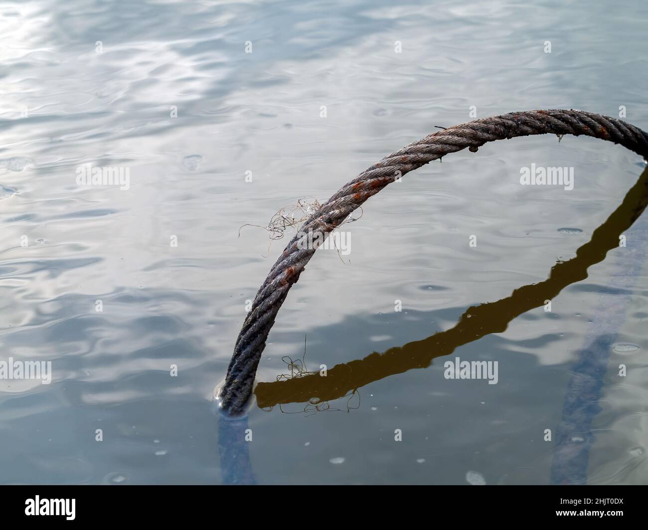 an iron cable lies in the river, in summer Stock Photo - Alamy