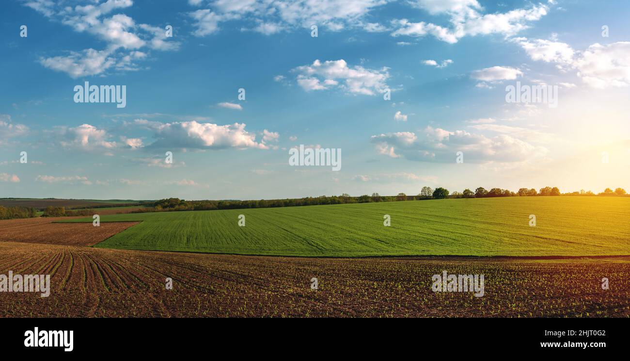 fertile agricultural fields for sowing and growing crops Stock Photo ...
