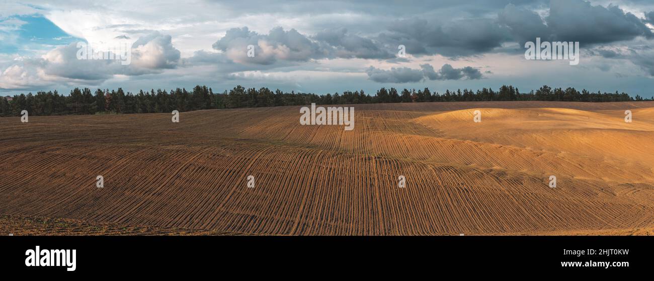 fertile agricultural fields for sowing and growing crops Stock Photo ...