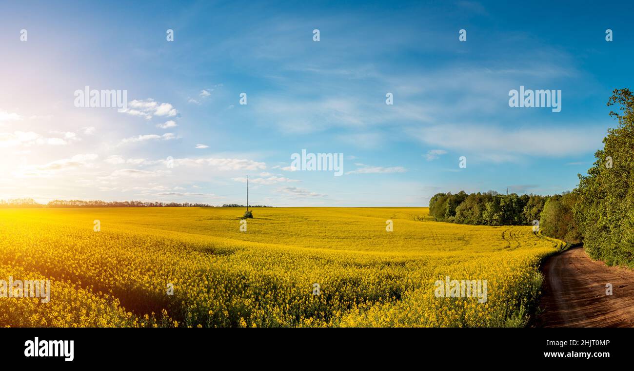 fertile agricultural fields for sowing and growing crops Stock Photo ...