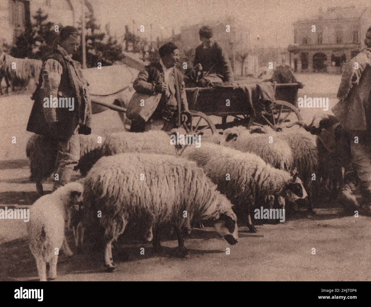 Outside the cathedral of St. Nedelia, scene of a bomb outrage in 1925 ...