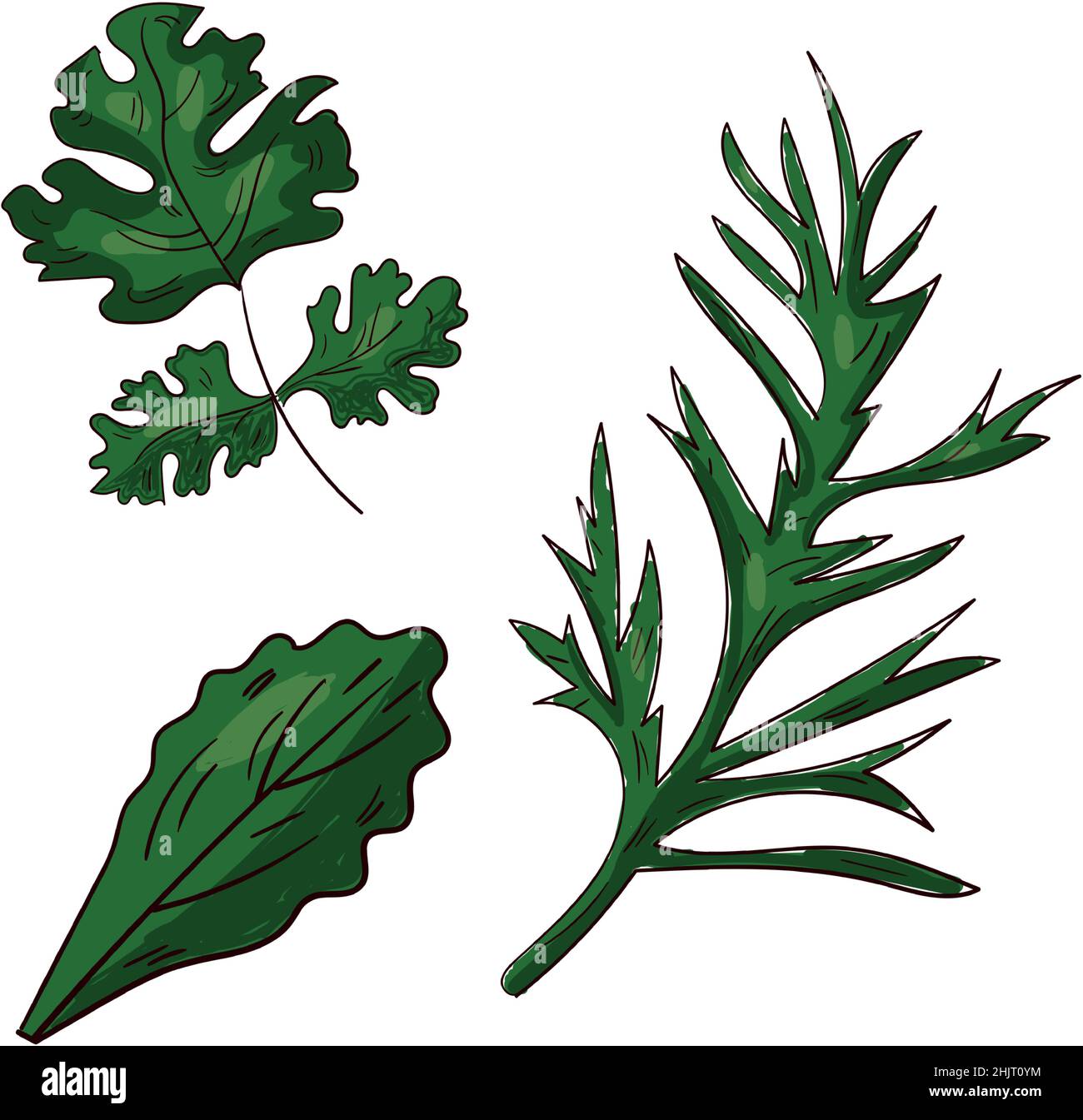 Realistic different types of herbs and plants for cooking on a white ...