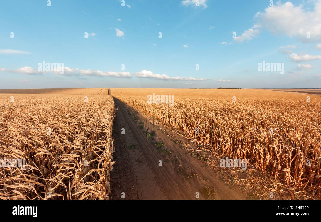 Separated field hi-res stock photography and images - Alamy