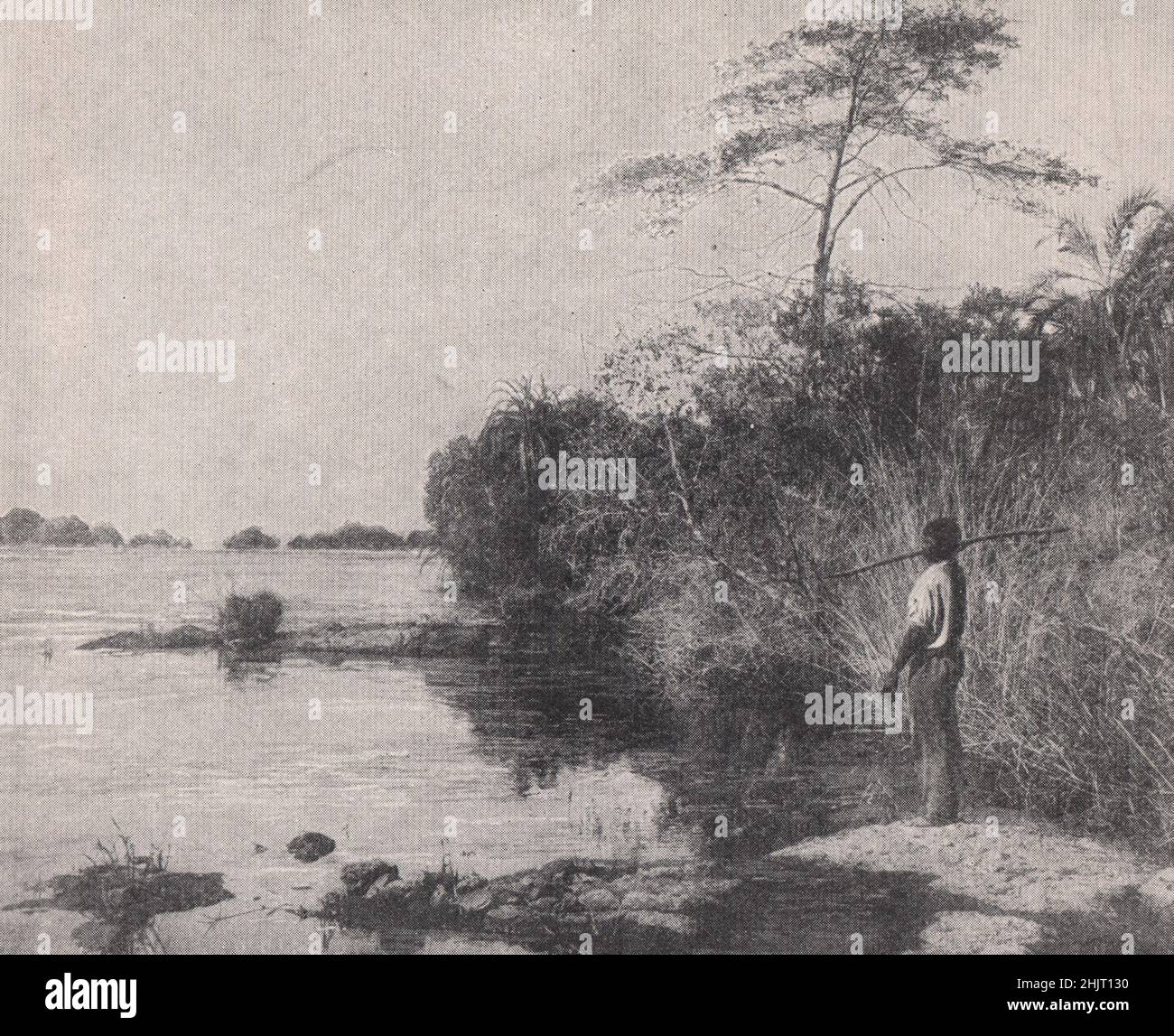 Rhodesia: Jungle growing on the Bank of the mighty Zambezi. Zimbabwe ...
