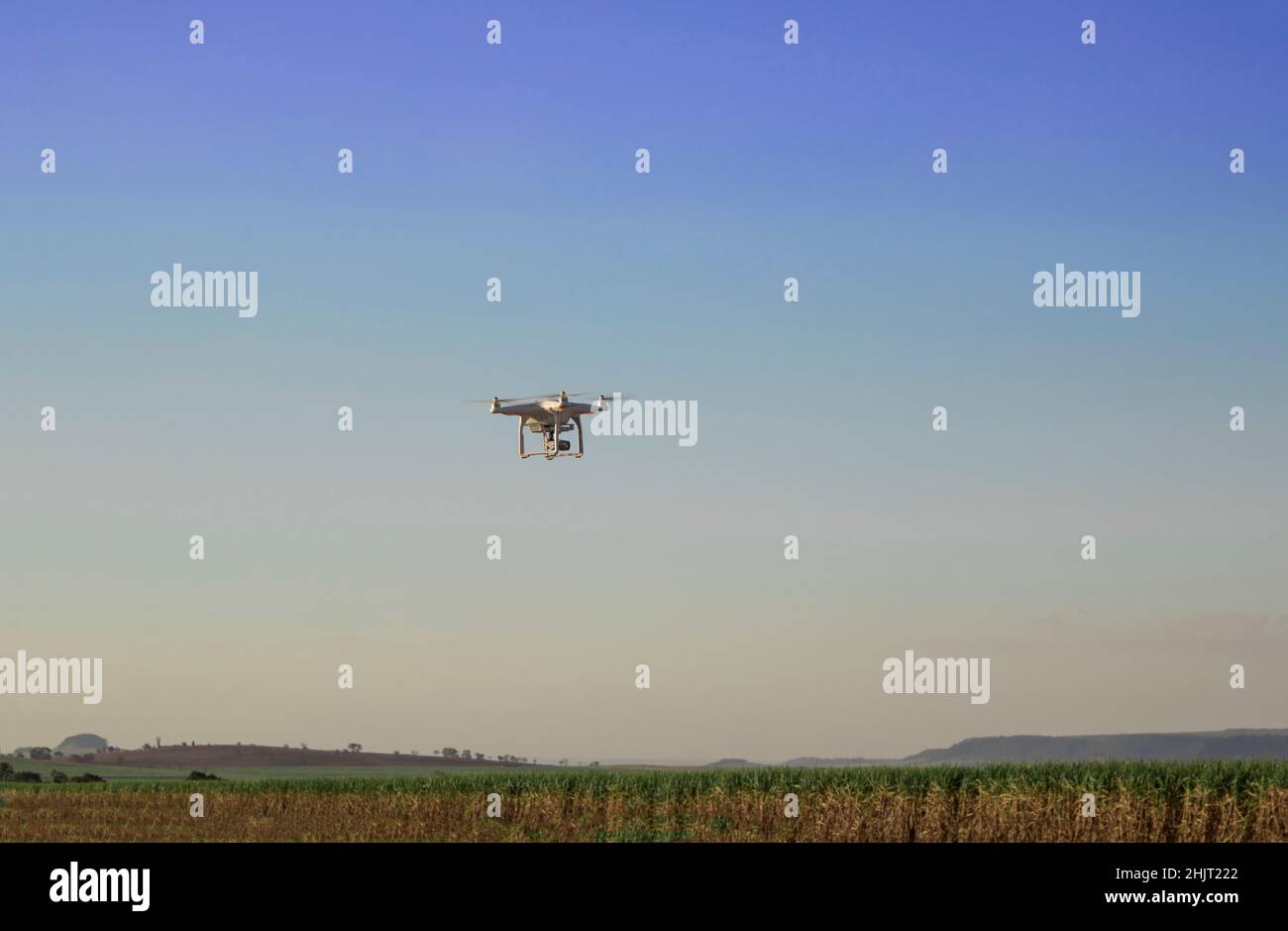 Harvesting machine working on a sugar cane field plantation drone ...