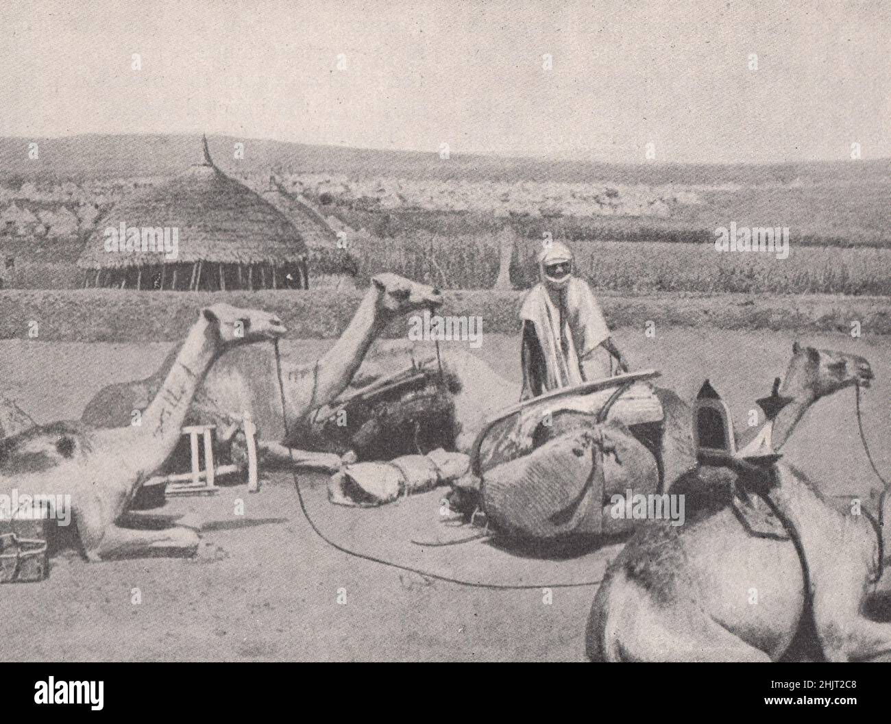 Arrival of a Tuareg Caravan at Tamaske, French West Africa. Niger (1923 ...