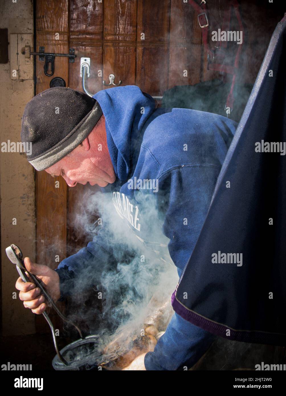 Farrier shoeing a horse Stock Photo - Alamy