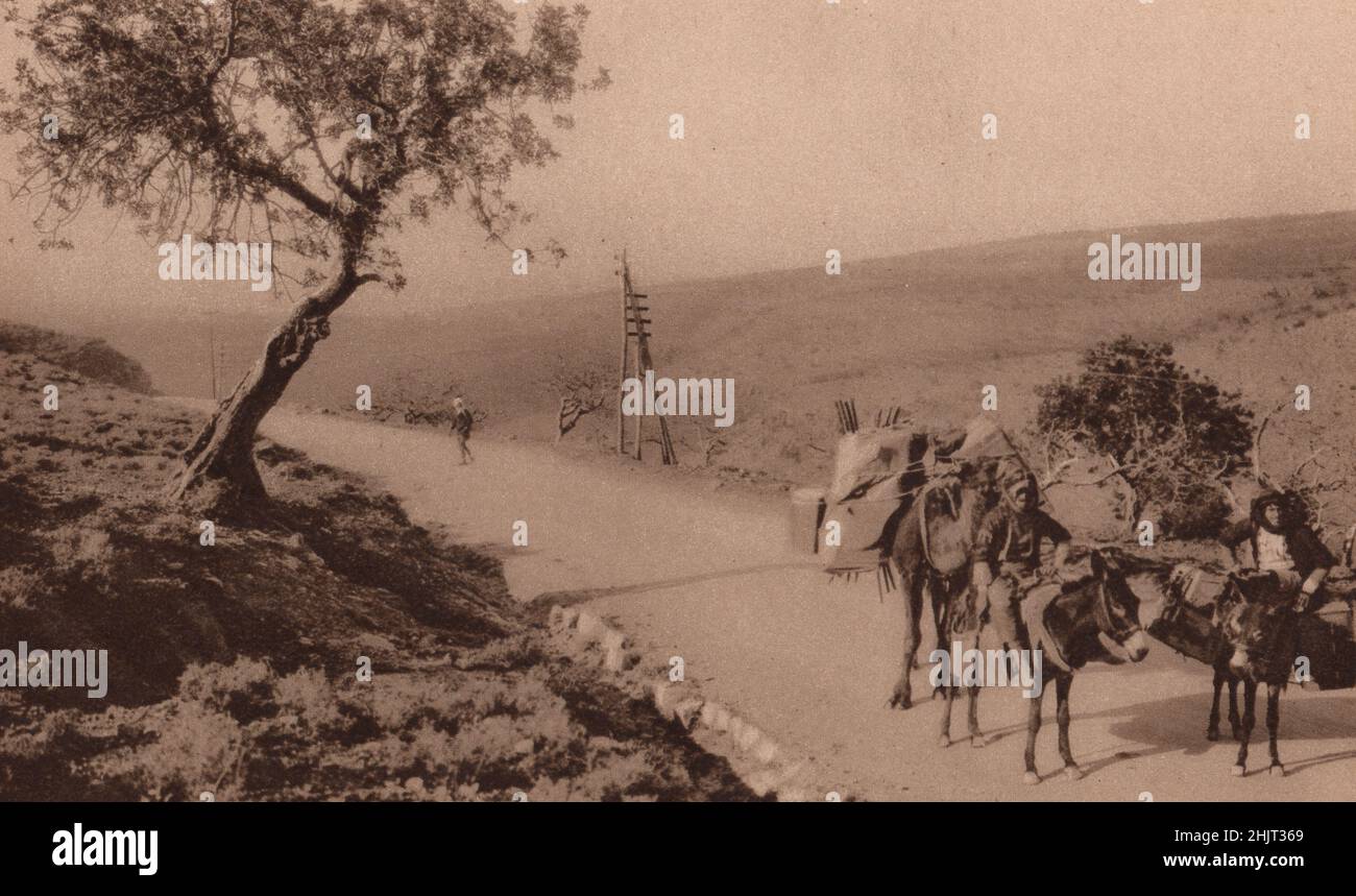 Beirut port illustration hi-res stock photography and images - Alamy