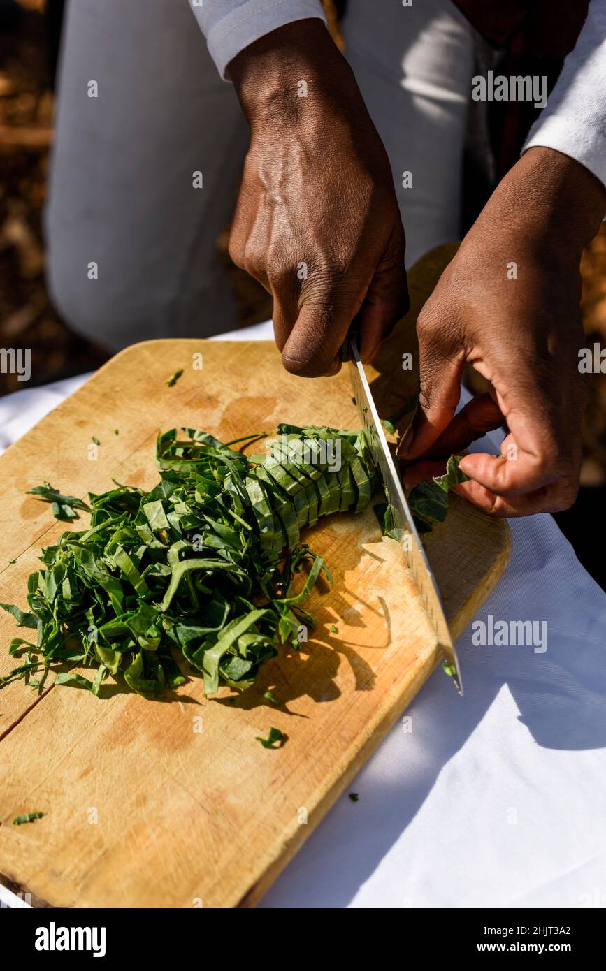 Chef cutting kale on chopping board Stock Photo - Alamy
