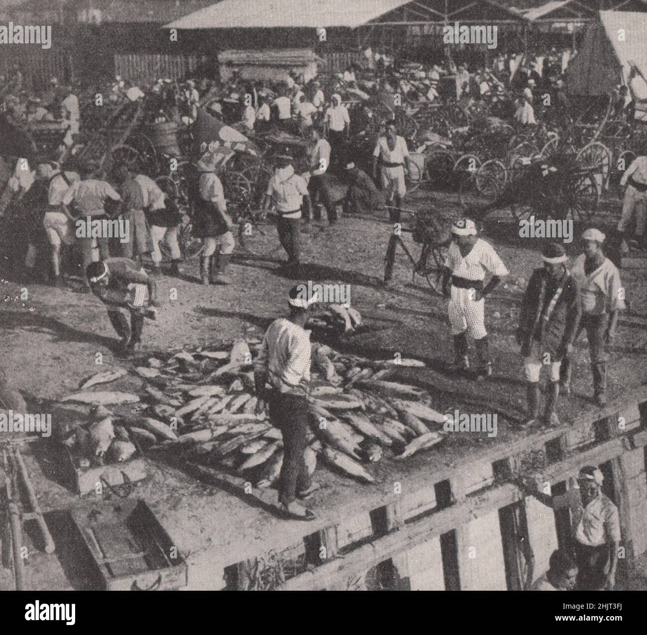 Bustle and Barter in Tokyo's new fish market. Japan (1923 Stock Photo ...